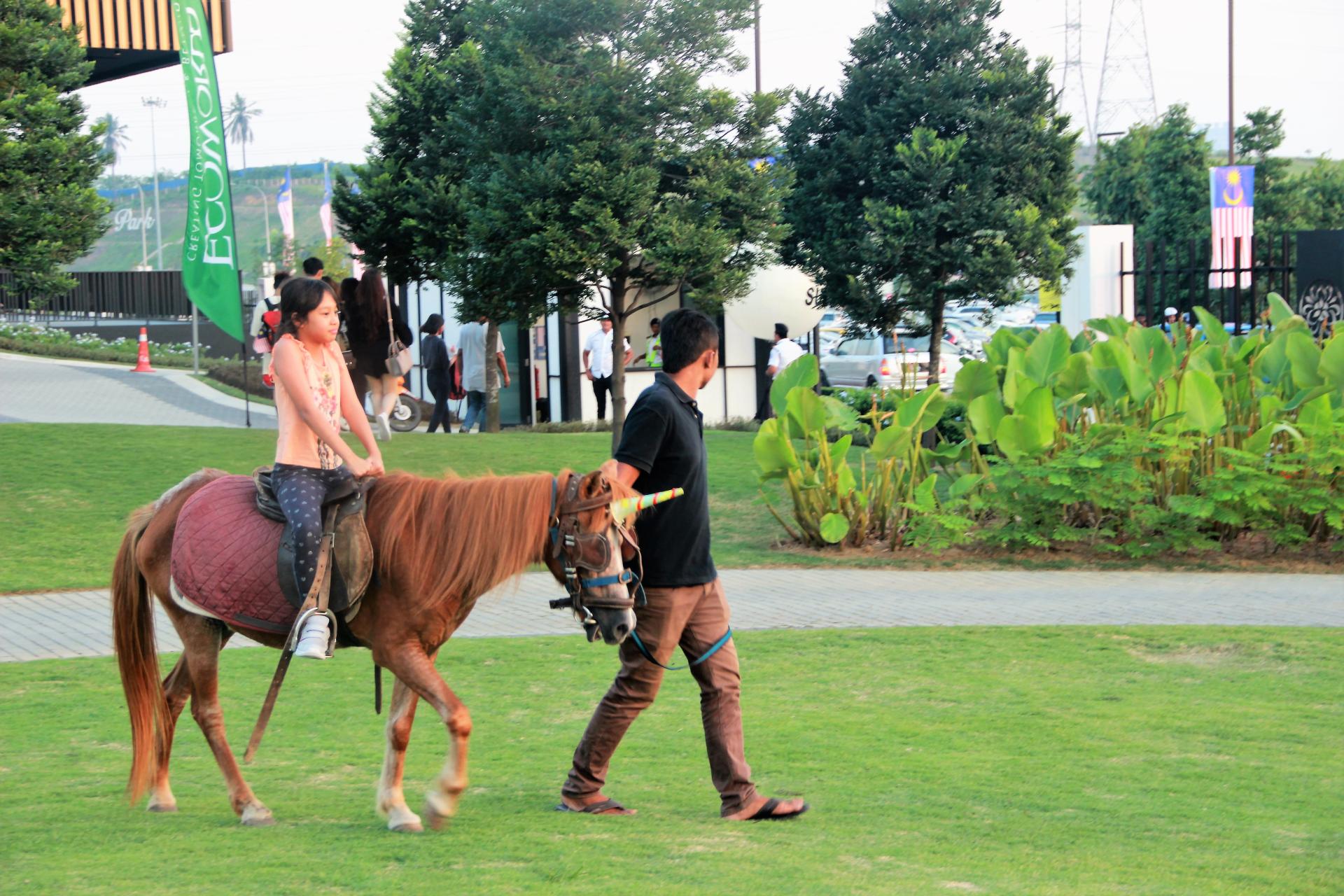 Pony Ride ~ DFD Creations